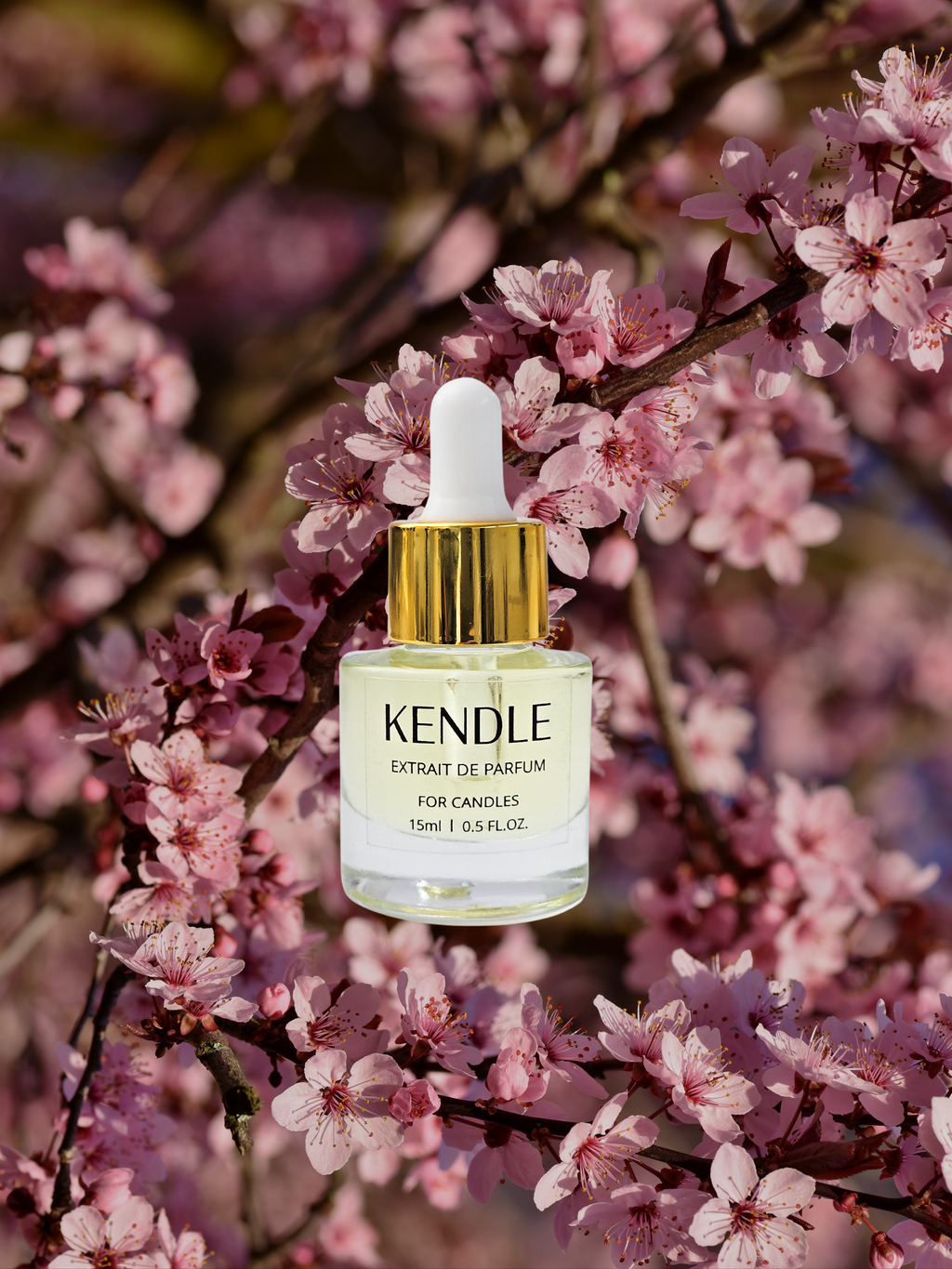 Sakura Blossom – KENDLE